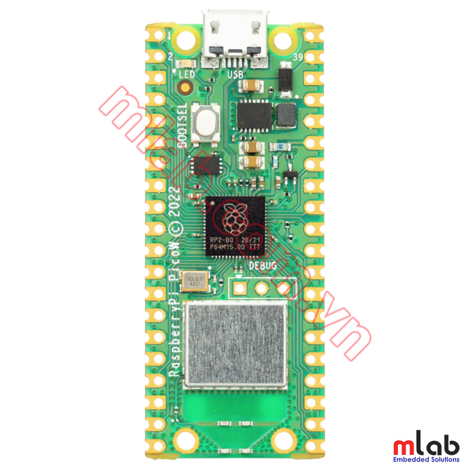 Raspberry Pi Pico W